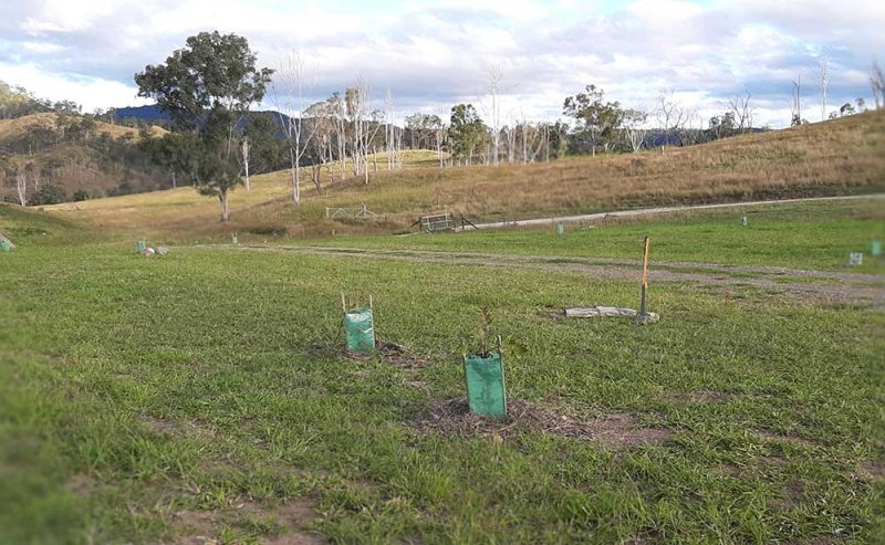 Gallery - Boyne Burnett Inland Rail Trail
